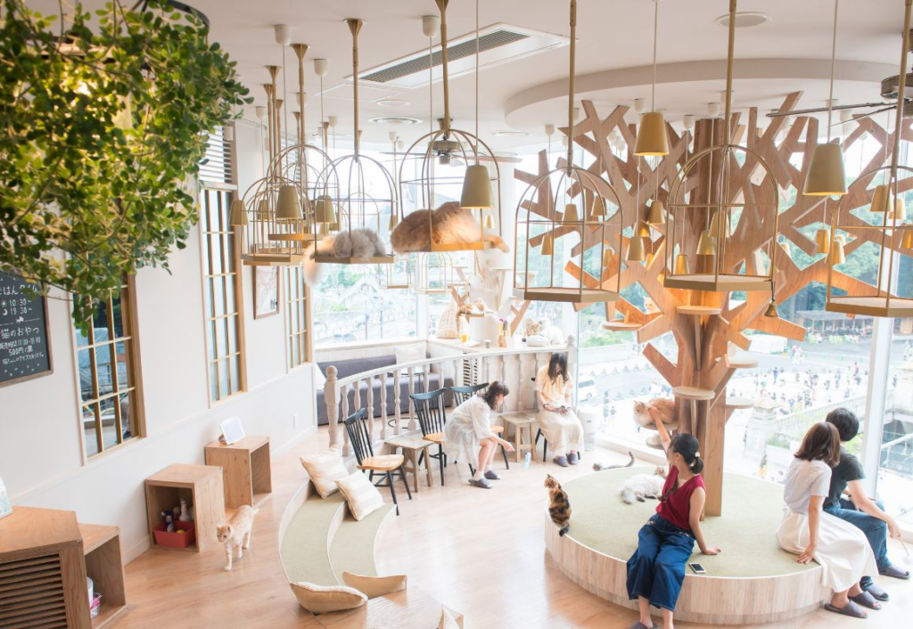 Discover Tokyo: 7 Must-Visit Animal Cafes for Pet Lovers” - Wild Tour ...